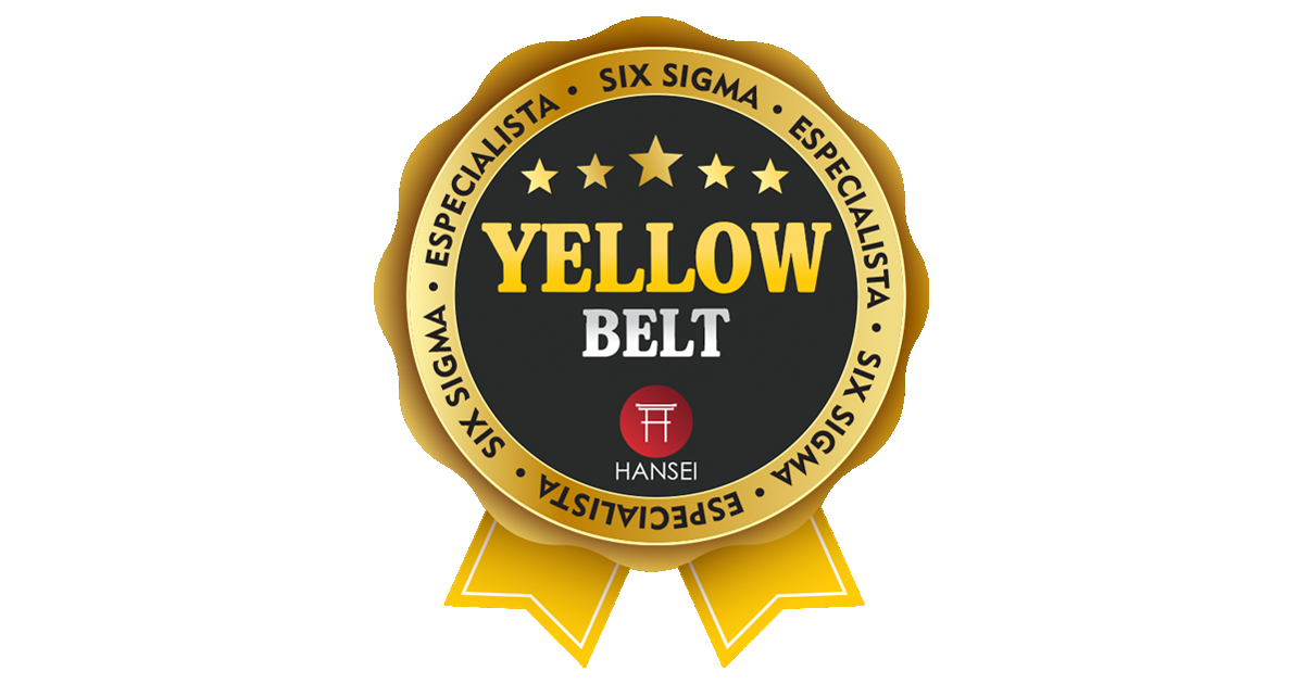 LEAN SIX SIGMA YELLOW BELT - ESPECIALISTA (TURMA YB02HA)