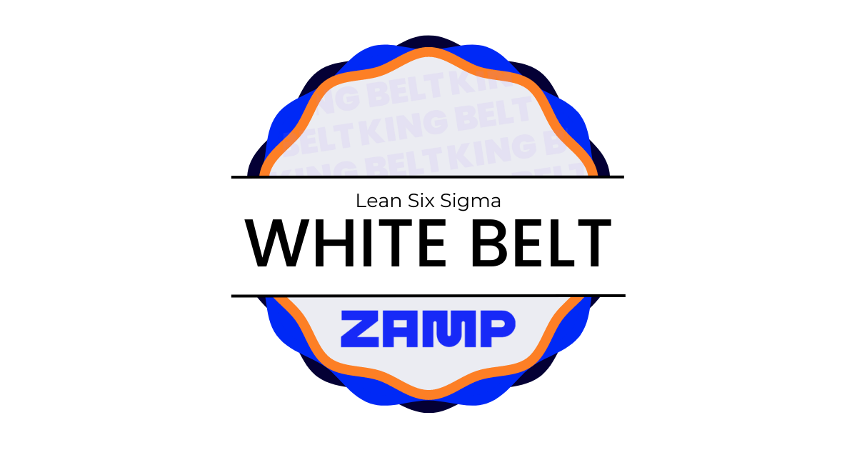 CERTIFICAÇÃO KING BELT - LEAN SIX SIGMA WHITE BELT